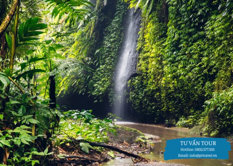 Đảo Bali ở đâu? của nước nào? Kinh nghiệm du lịch đảo Bali 2023