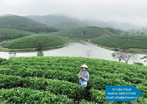Review đồi chè Thanh Chương - Địa điểm du lịch mới ở Nghệ An