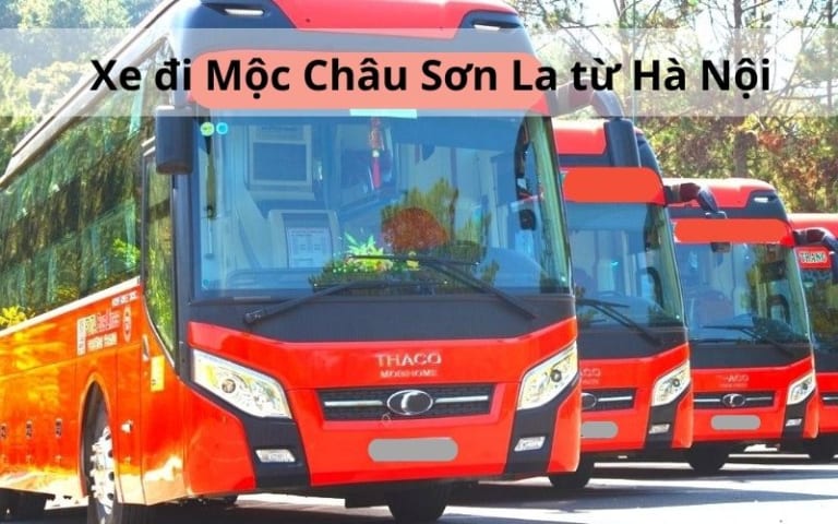 8 nhà xe đi Mộc Châu Sơn La từ Hà Nội | Xe khách & xe limousine